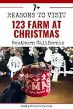 123 Farm Christmas Festival: 7 Dazzling Reasons to Visit | Tasty Itinerary