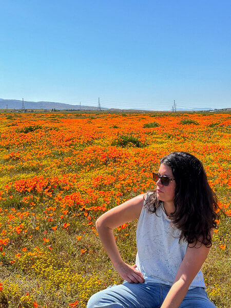 Explore the Beauty of the Antelope Valley Poppy Reserve | Tasty Itinerary