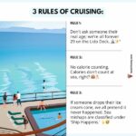 25+ Funny-Relatable Cruise Memes and Cruise Jokes Revolving Cruise ...