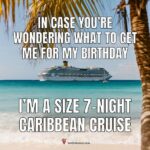 25+ Funny-Relatable Cruise Memes and Cruise Jokes Revolving Cruise ...