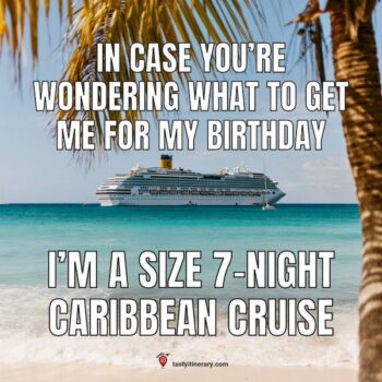 25+ Funny-Relatable Cruise Memes and Cruise Jokes Revolving Cruise Travel | Tasty Itinerary