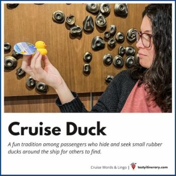 Understanding Cruise Words and Lingo To Chat Like a Cruiser | Tasty ...