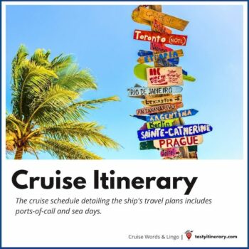 Understanding Cruise Words and Lingo To Chat Like a Cruiser | Tasty ...