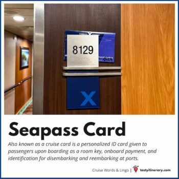 Understanding Cruise Words and Lingo To Chat Like a Cruiser | Tasty ...