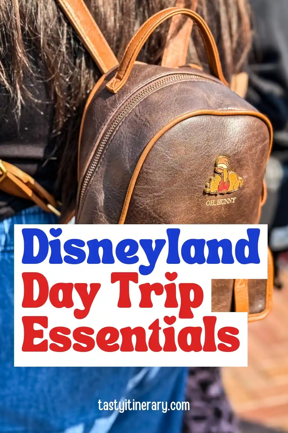 Disneyland Packing List for Adults: What to Bring in Your Park Bag ...